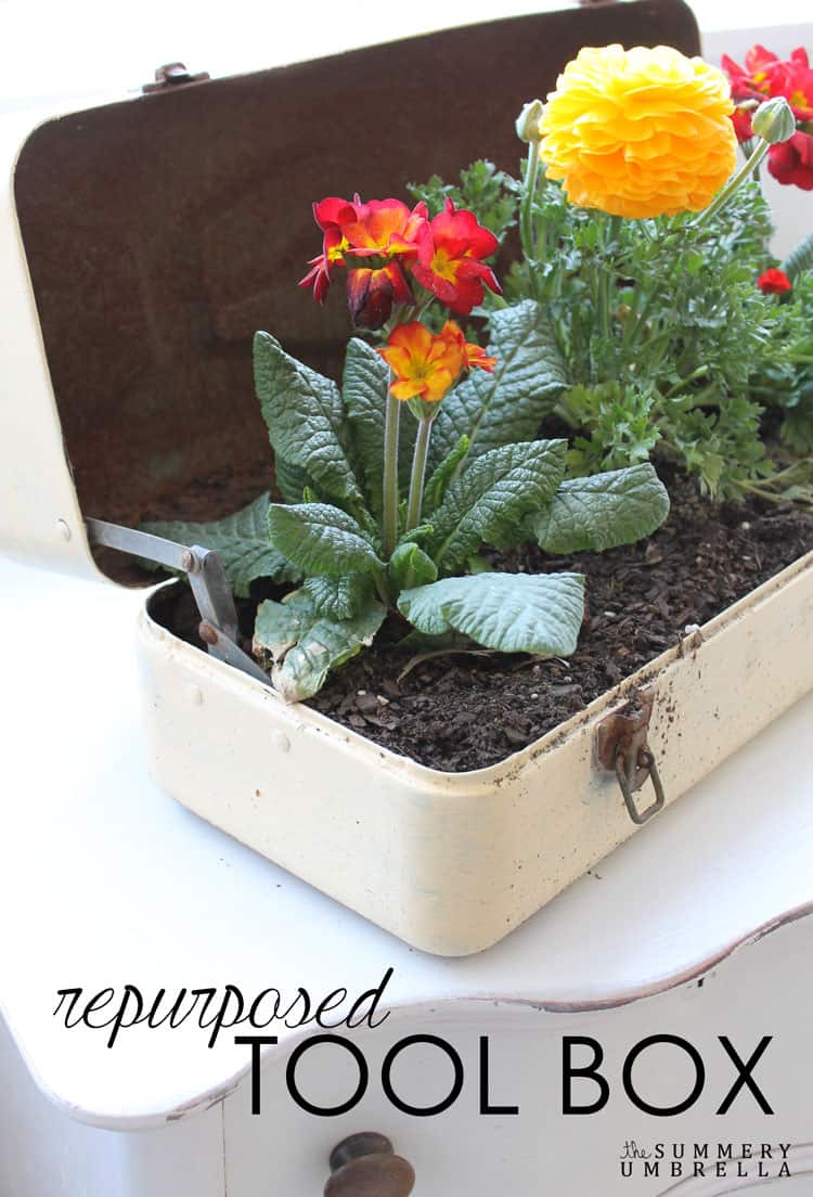 Repurposed Toolbox Flower Planter: Ideal for Your Porch!