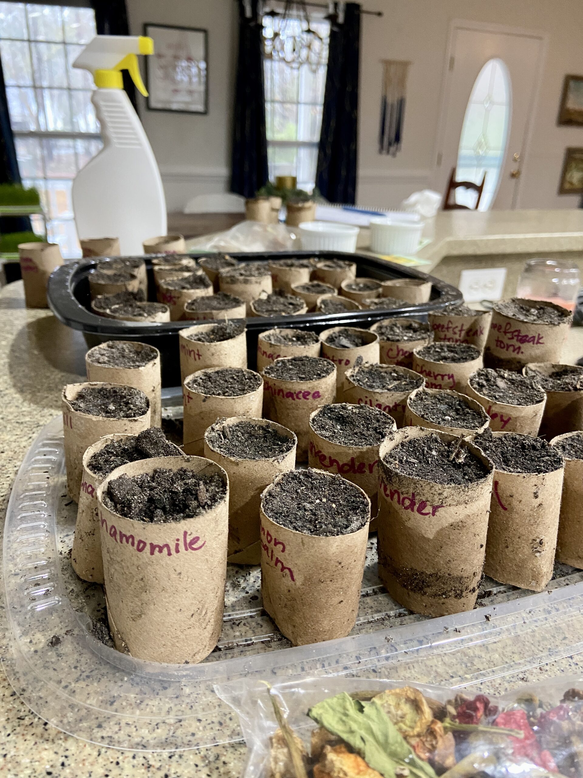 Spring Gardening for Beginners: Tips and Tricks