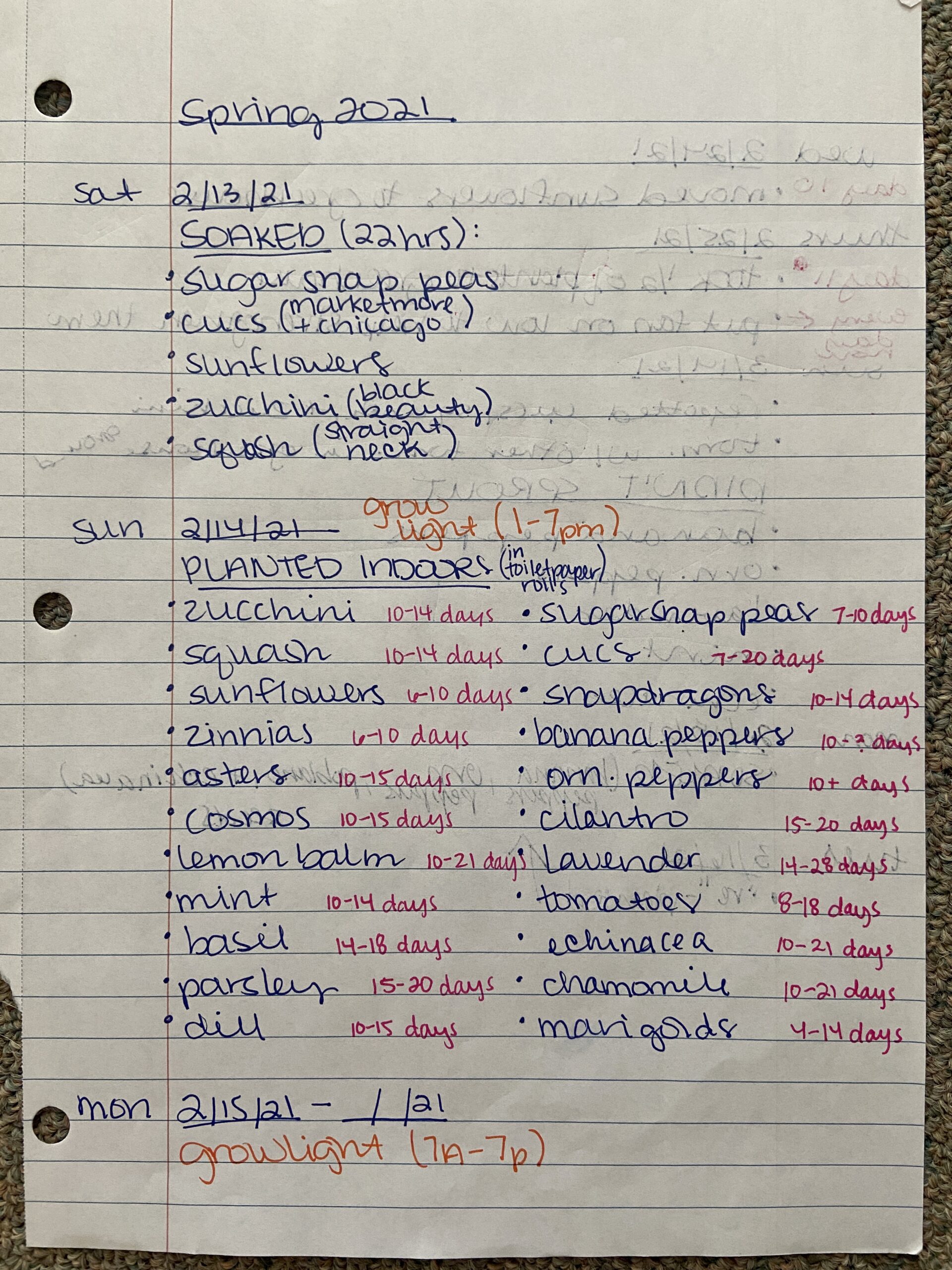 Spring Gardening for Beginners: Tips and Tricks