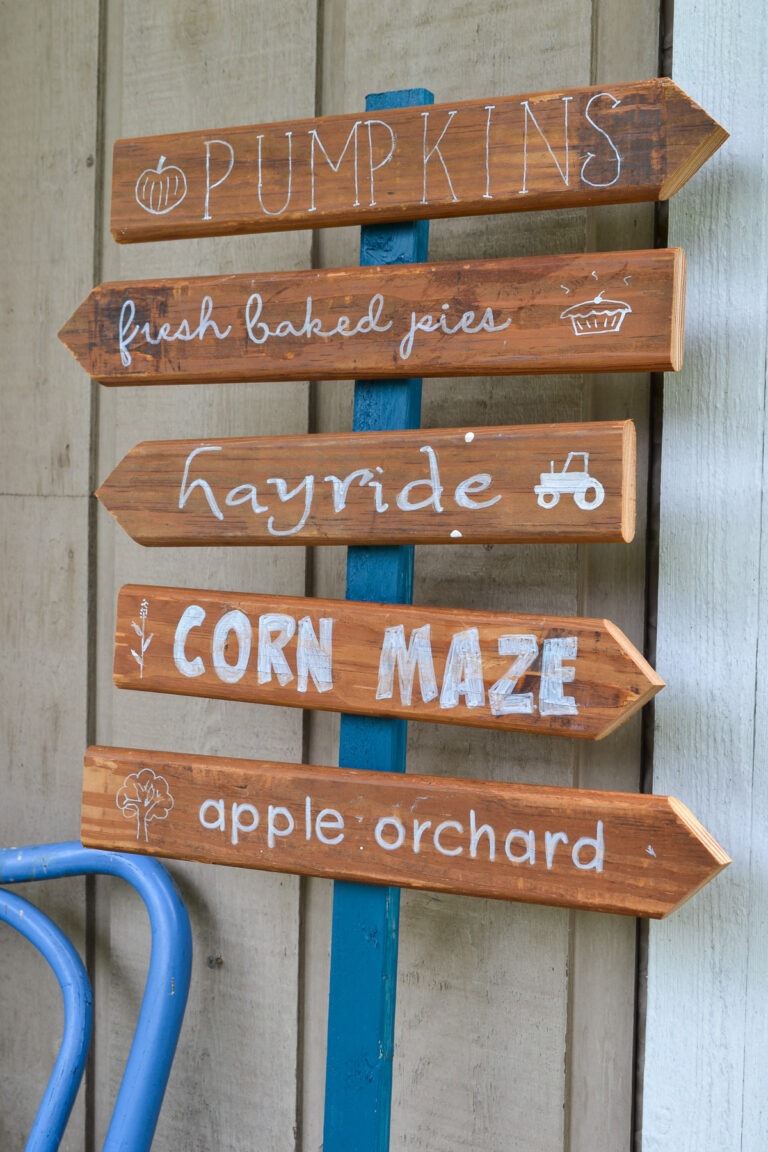25 Fabulous DIY Wood Fall Decor Ideas For a Cozy Home