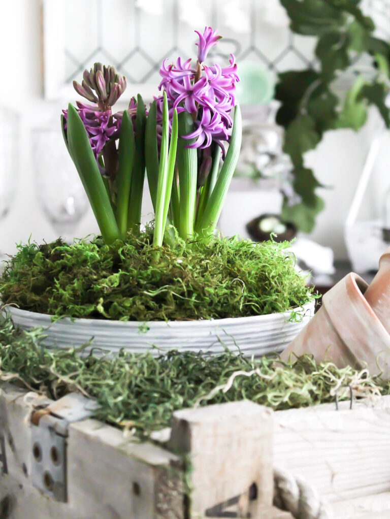 23 Fabulous Outdoor Spring Decor Ideas You Don't Want To Miss!