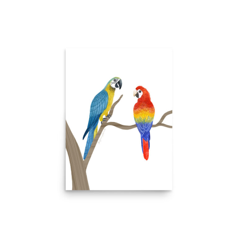 Parrots Art Print