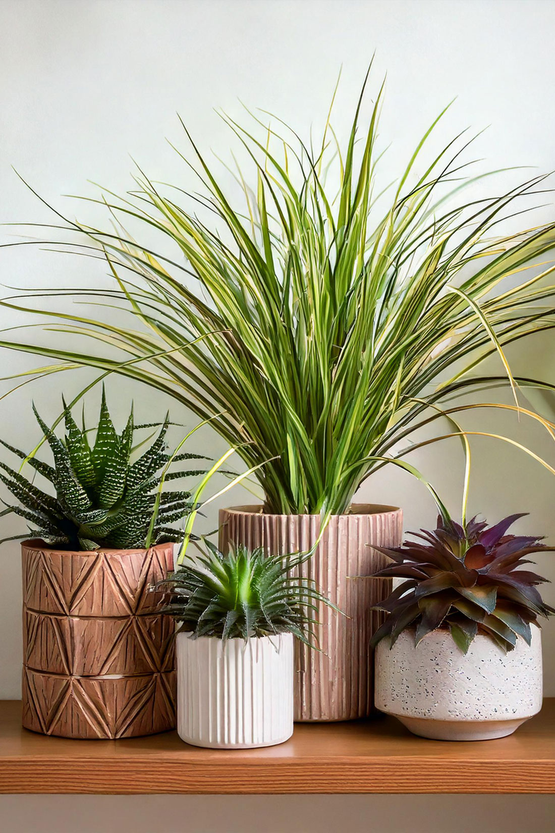 Best Spring Indoor Plants to Brighten Your Home