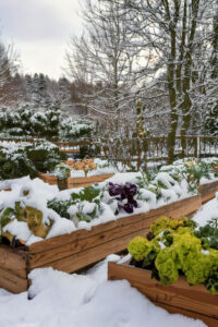 Frost-Proof Your Garden: Ultimate Winter Gardening Guide